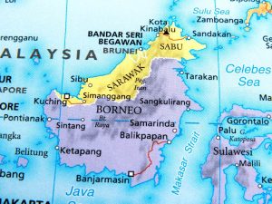 La Selva de Borneo: naturaleza exuberante y vida salvaje
